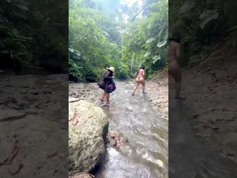 Yaneri velez #shorts #shortvideo #youtubeshorts #trending