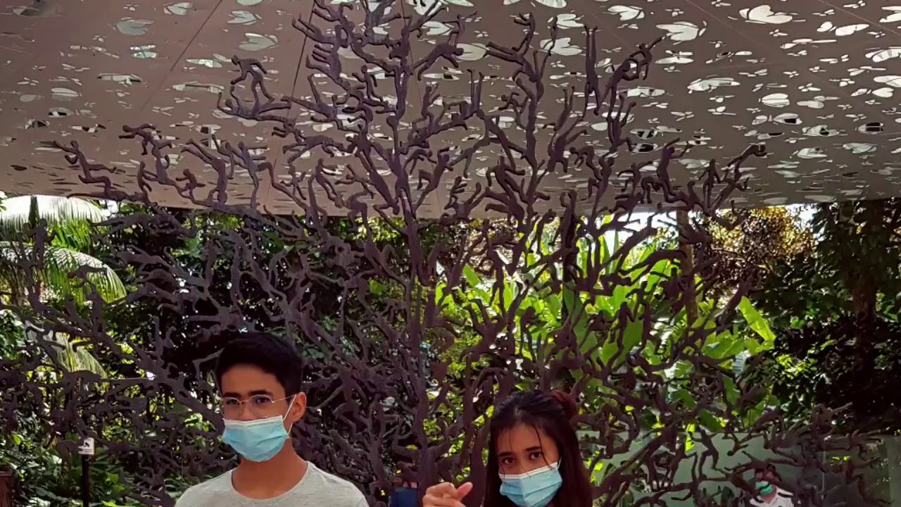 Jacob Ballas on 1st Aug 2020 - YouTube