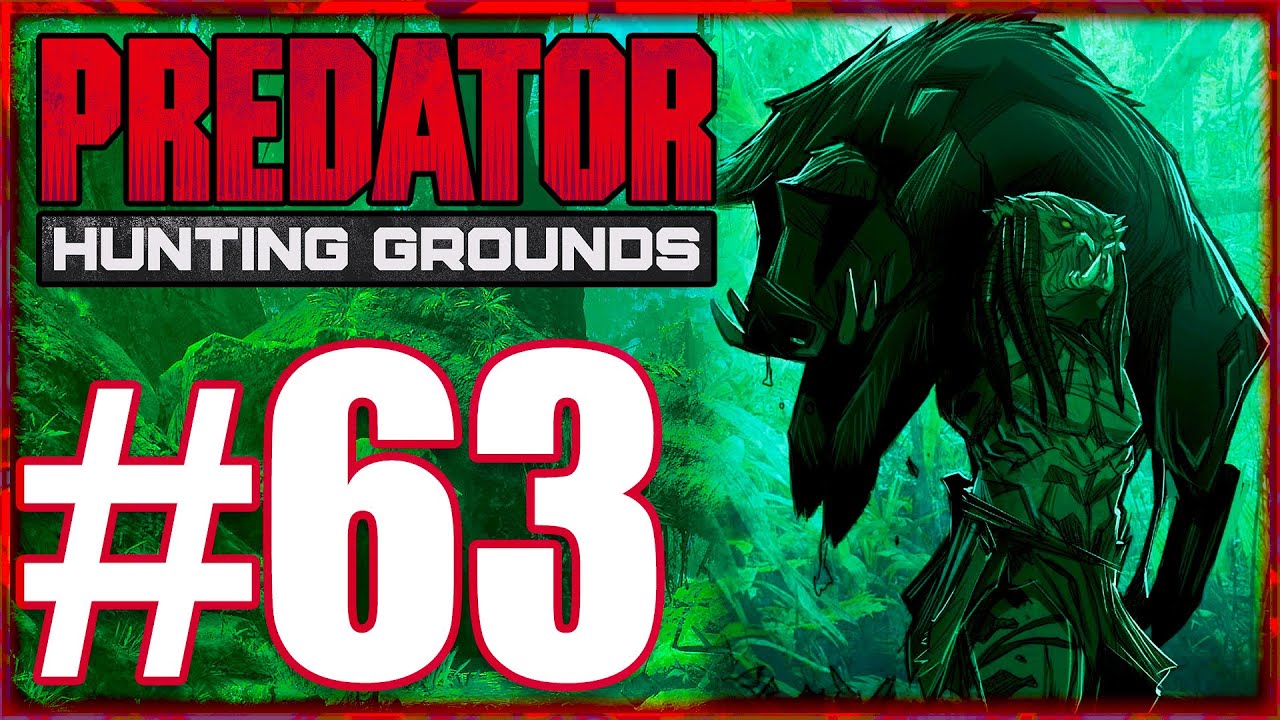 Tiny Tips About Pigs and Predators! - Predator Hunting Grounds - YouTube