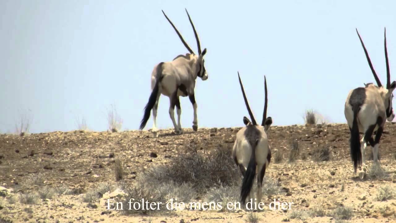 Die Namib Woestyn - YouTube