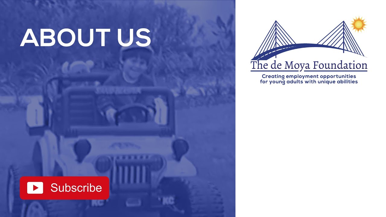 Bridging Dreams to Reality - The de Moya Foundation - YouTube