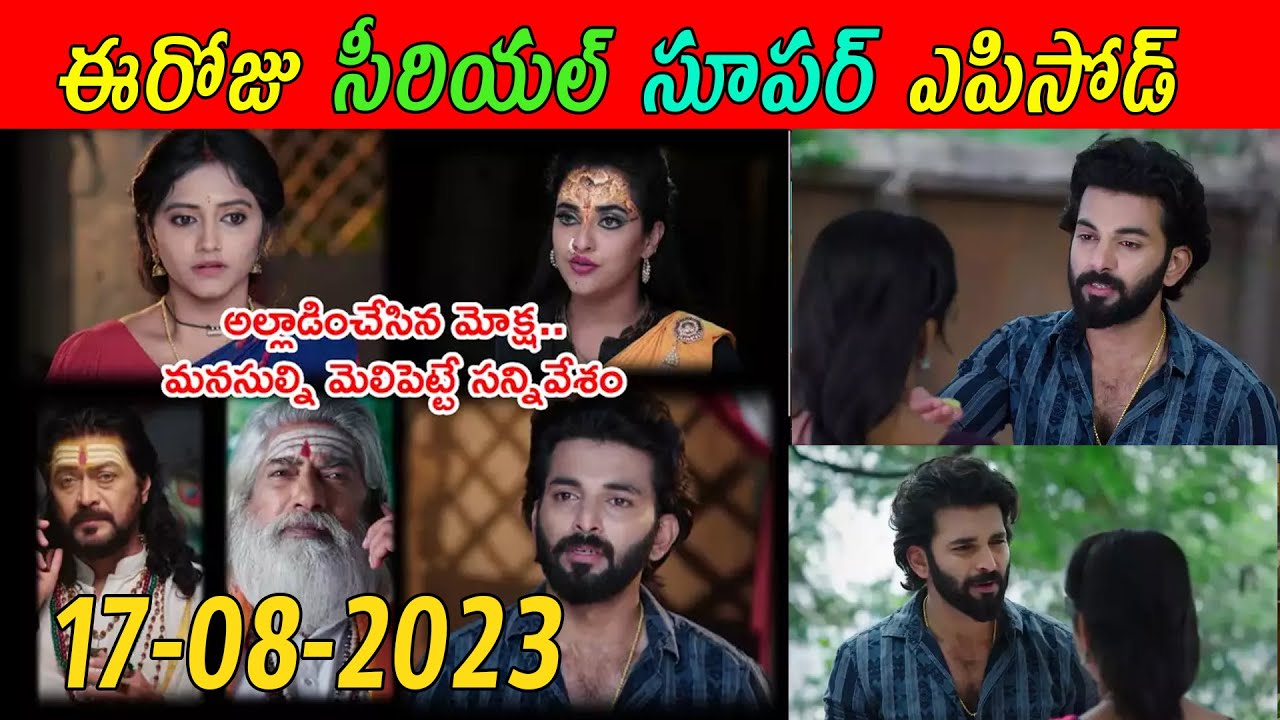 Naga Panchami Serial 17th August 2023 Today Episode Full Video | Siva ...
