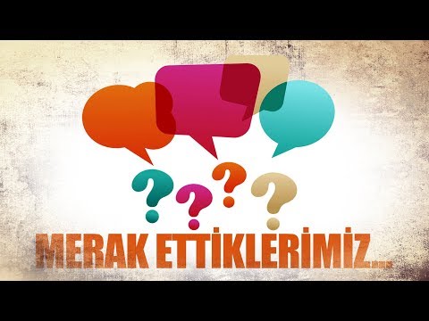 Hayatın Çakıl Taşları