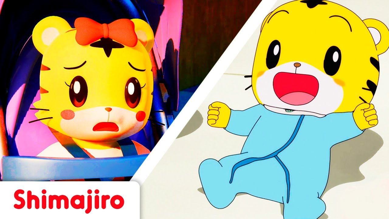 🍼👶 Shimajiro Is a Baby! 🎉💞 The Cutest Songs & Stories for Little Ones ...