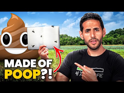 3 Things made from poop (and pee)