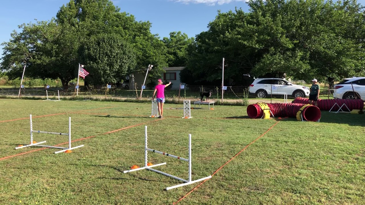 USDAA Gamblers - Course 1 - June 13 - YouTube