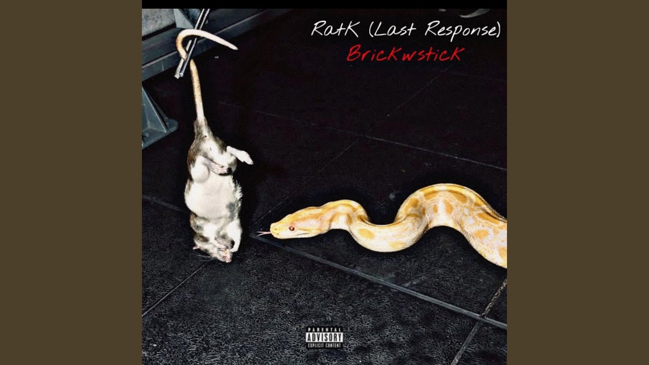 Rat K (Last Response) - YouTube