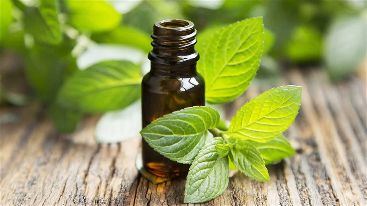 Role Of Clove And Peppermint For Health - Natural Painkillers For ...
