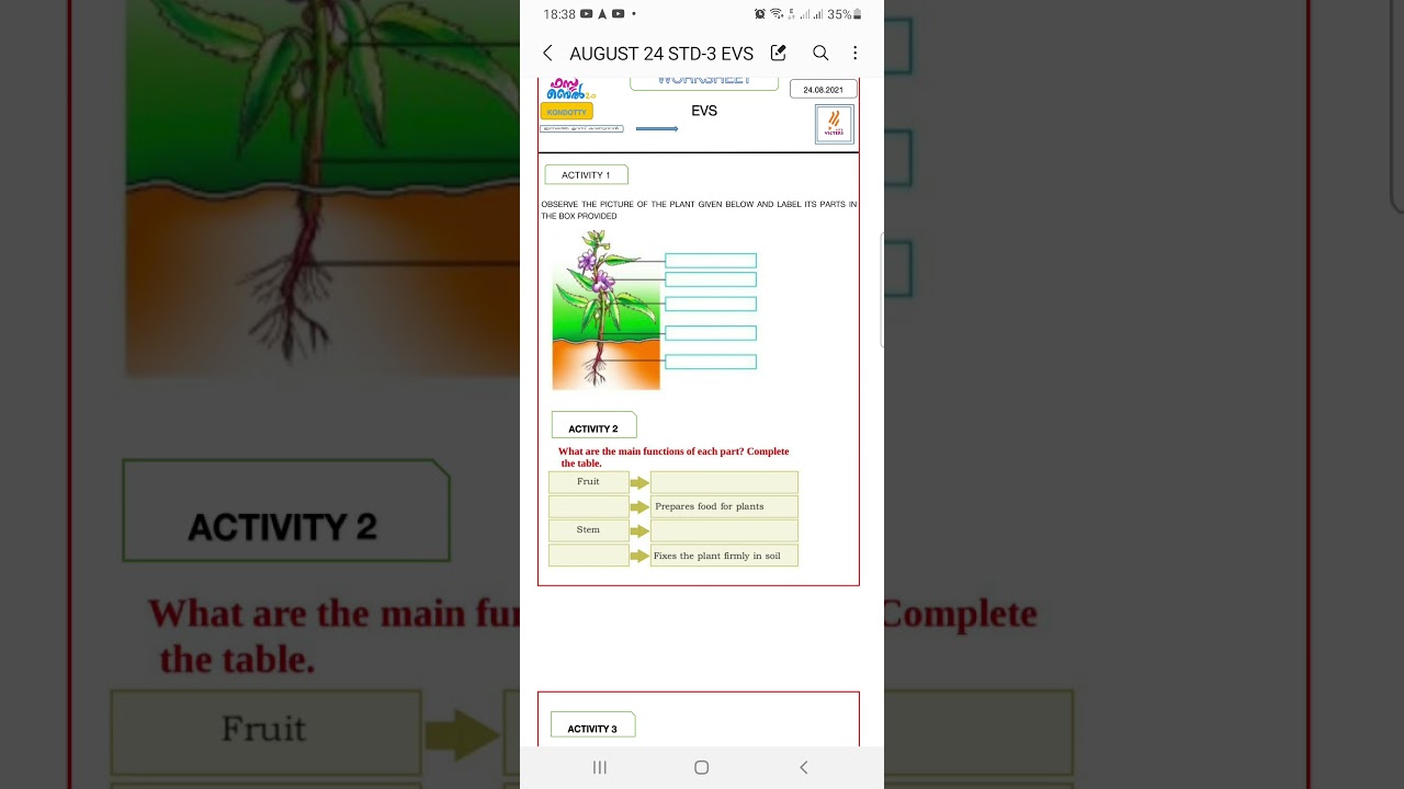 Kerala Syllabus 3rd Standard EVS Activities YouTube Kerala Syllabus 3rd Standard EVS Activities YouTube