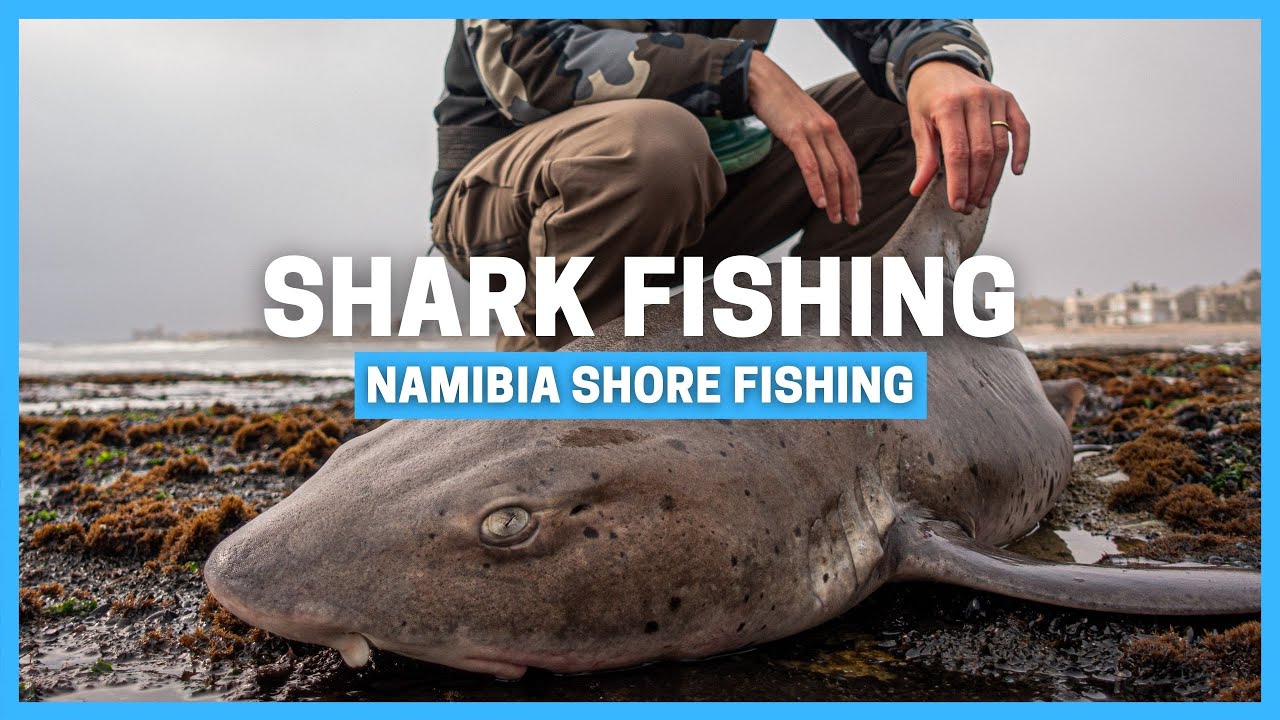 NAMIBIA SHORE FISHING SHARKS - YouTube