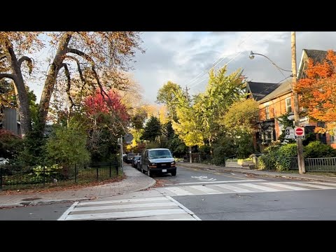 토론토 주택가의 가을 풍경 ( autumn scenery in Toronto ) - YouTube