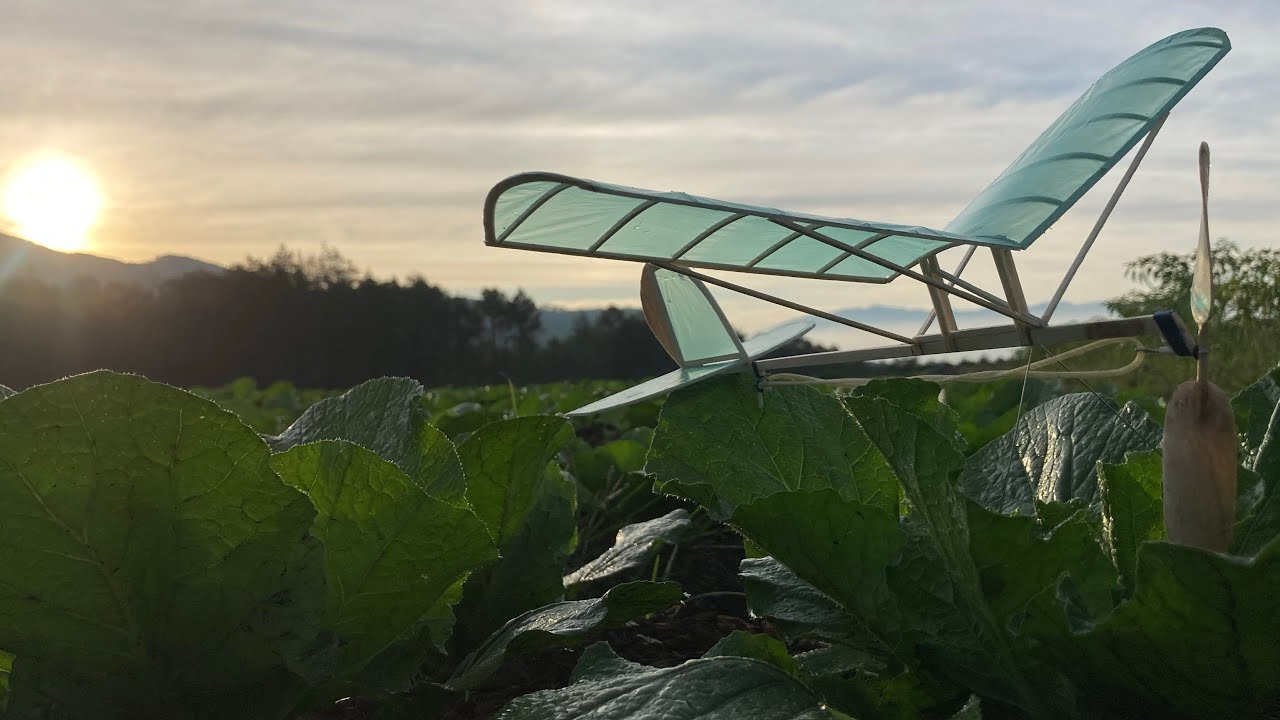 Free Flight Rubber Powered Airplane. Mini Sky Rat Model Stick - YouTube