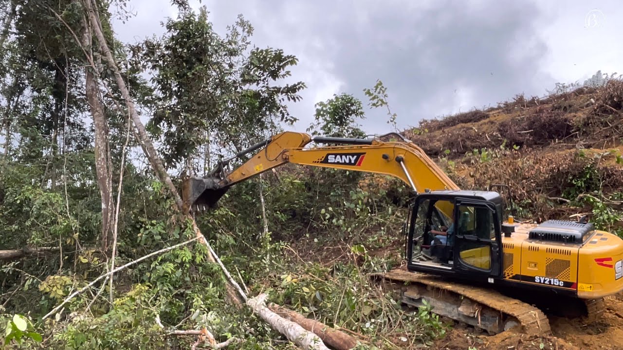 PROJECT WORK IN FOREST.! EXCAVATOR WORKING ON MOUNTAINS..FORESTRY LAND ...