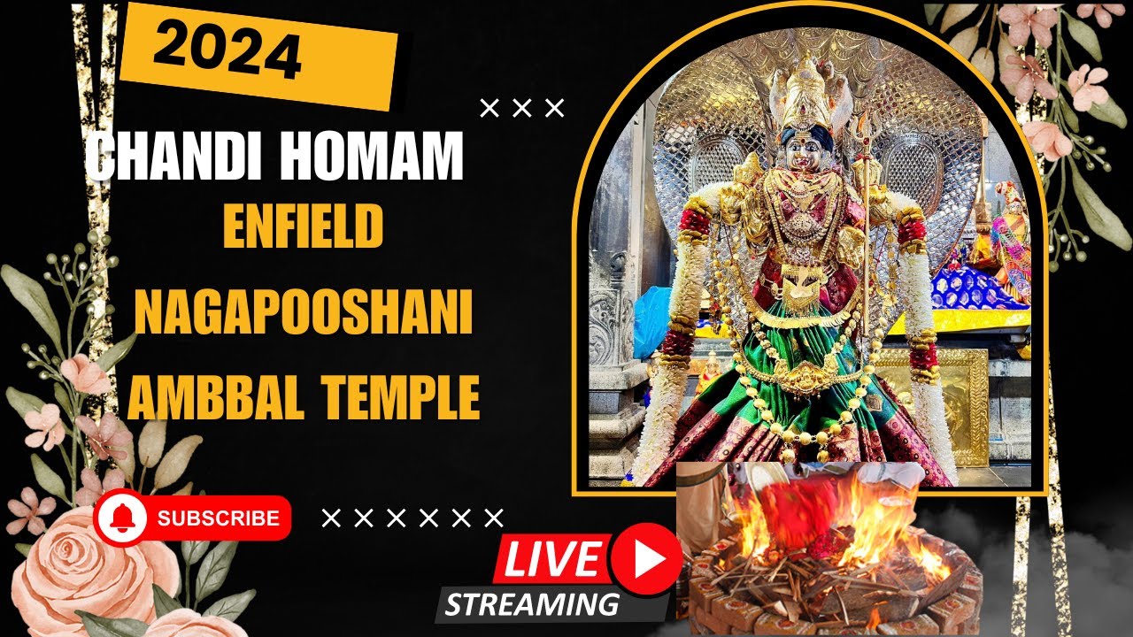 Nava Chandi Homam 2024 Enfield Nagapooshani Ambaal Temple| 17-05-2024 ...