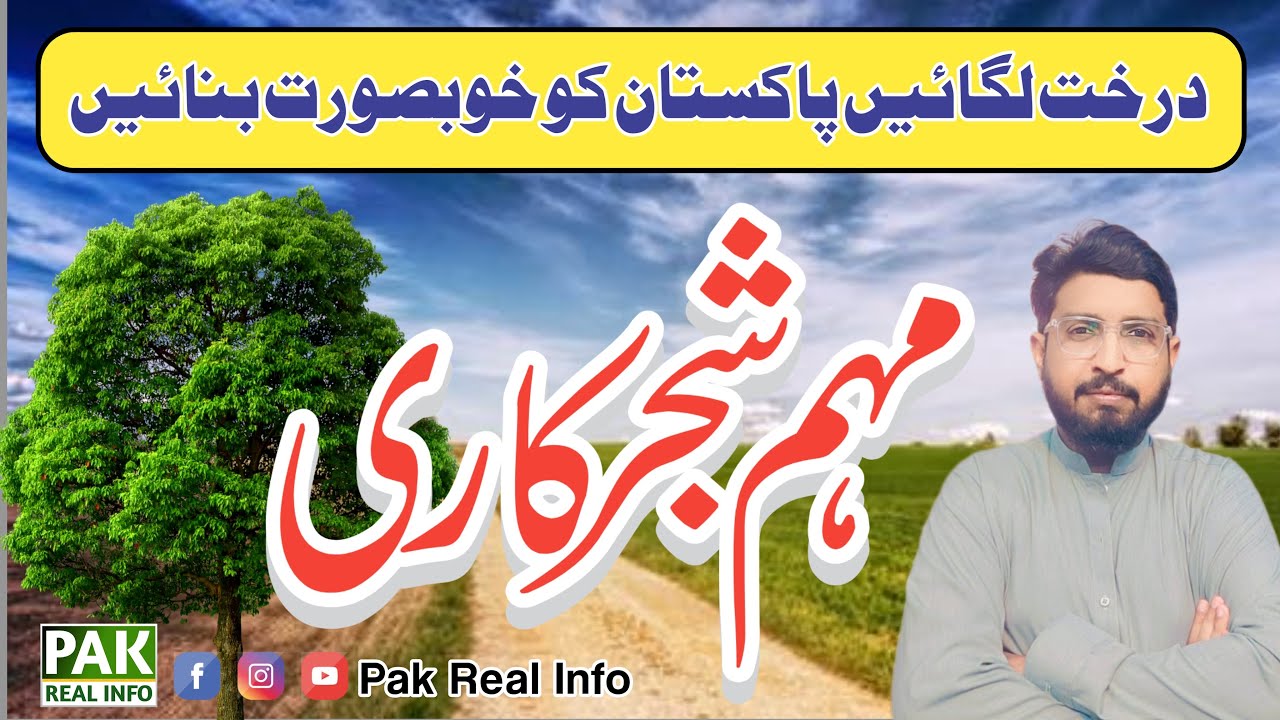 Shajar Kari | Darakht Lagae Pakistan Ko Khobsorat Banae | Plant Trees🌳🌲 ...