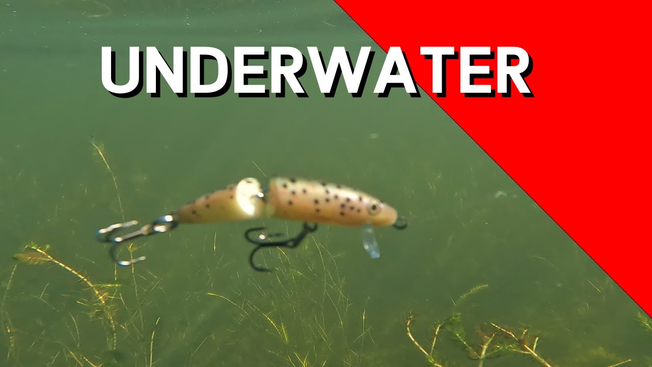 Rapala Lure UNDERWATER VIDEO Jointed Minnow Lure Action For Fishing ...