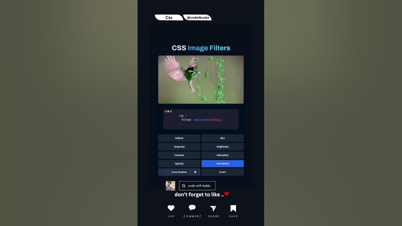 Css Image Filter For Html Coding Programming Programmer Coder Javascript Developer