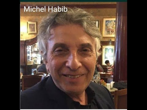 Michel Habib : Neurocompréhension des EIP et DYS - YouTube