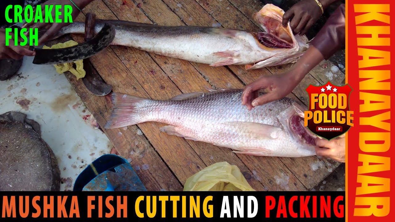 How to Cut & Clean Croaker Fish meat | Mushka Fish Cutting & Packing ...