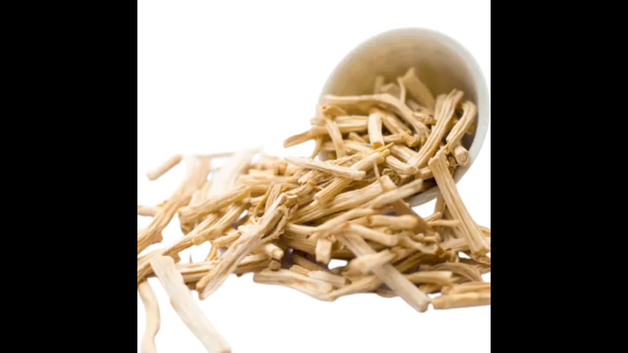 Shatavari Satavari Satavar Asparagus racemosus - YouTube