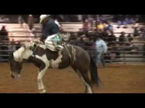MARSHALL PRO RODEO SADDLE BRONC - YouTube