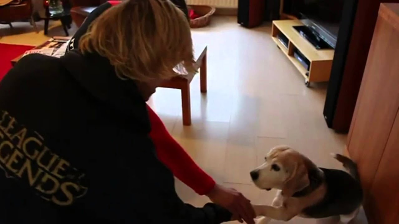 《英雄聯盟》Siv HD 隊的新玩家登場!!! - YouTube