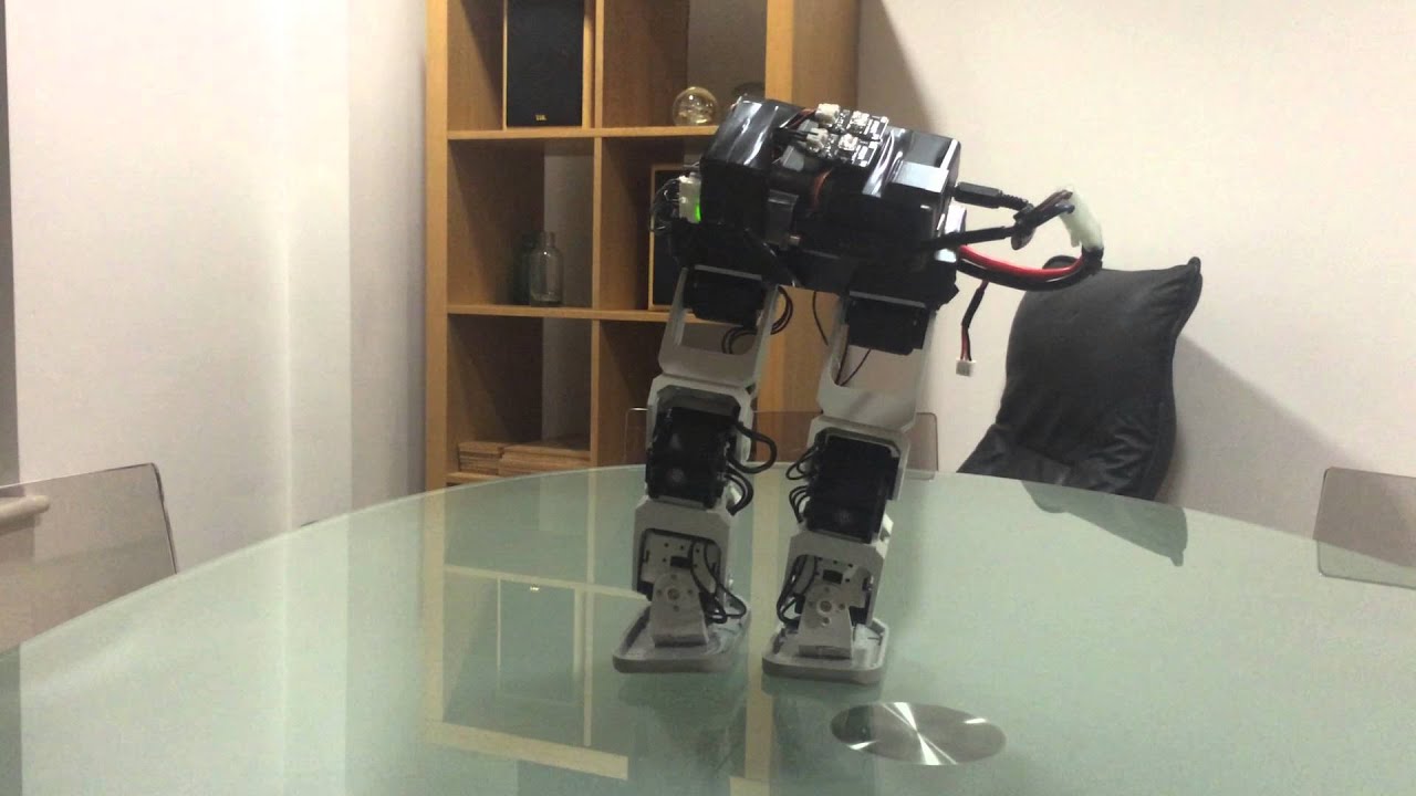 8 DOF Biped Robot - YouTube