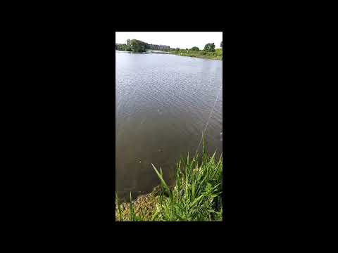 Gallery park, Lake Glenview , Glenview Il - YouTube