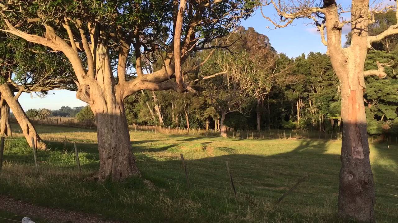 Runciman Park Estate -overlooking lot 11 - YouTube