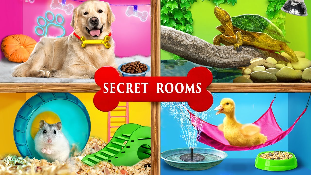 Wir Bauen Geheime Zimmer F r Haustiere Ich Betreibe Ein Tierhotel wir-bauen-geheime-zimmer-f-r-haustiere-ich-betreibe-ein-tierhotel