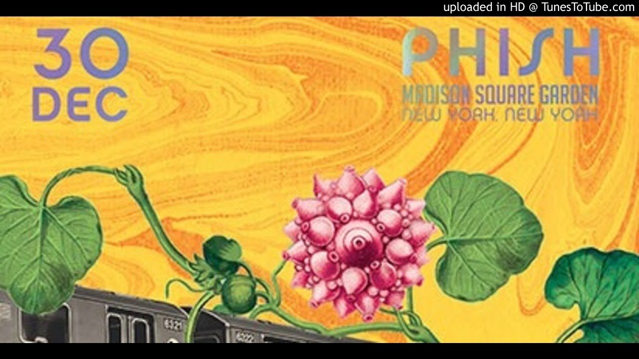 Phish - "Chalk Dust Torture/Ghost/Can't Always Listen/Ghost" (12/30/15 ...