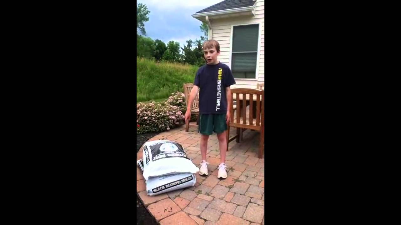 The video of epic randomness (fixed) - YouTube