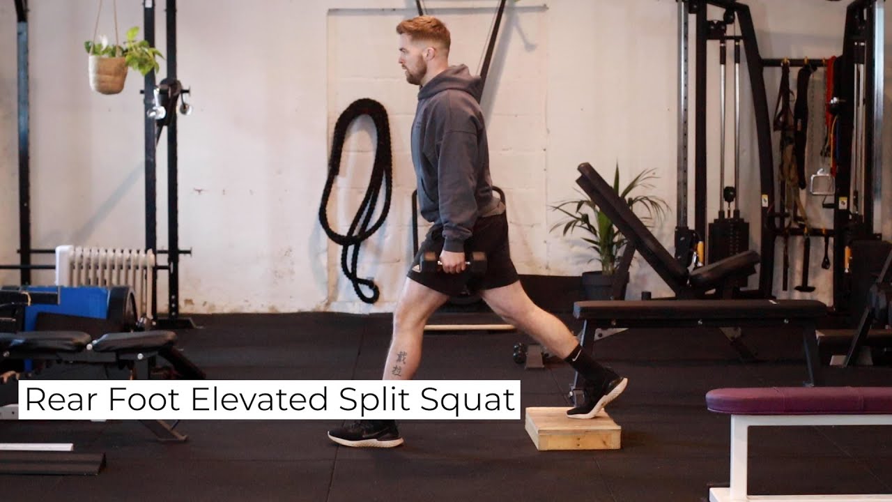Rear foot elevated split squat - YouTube