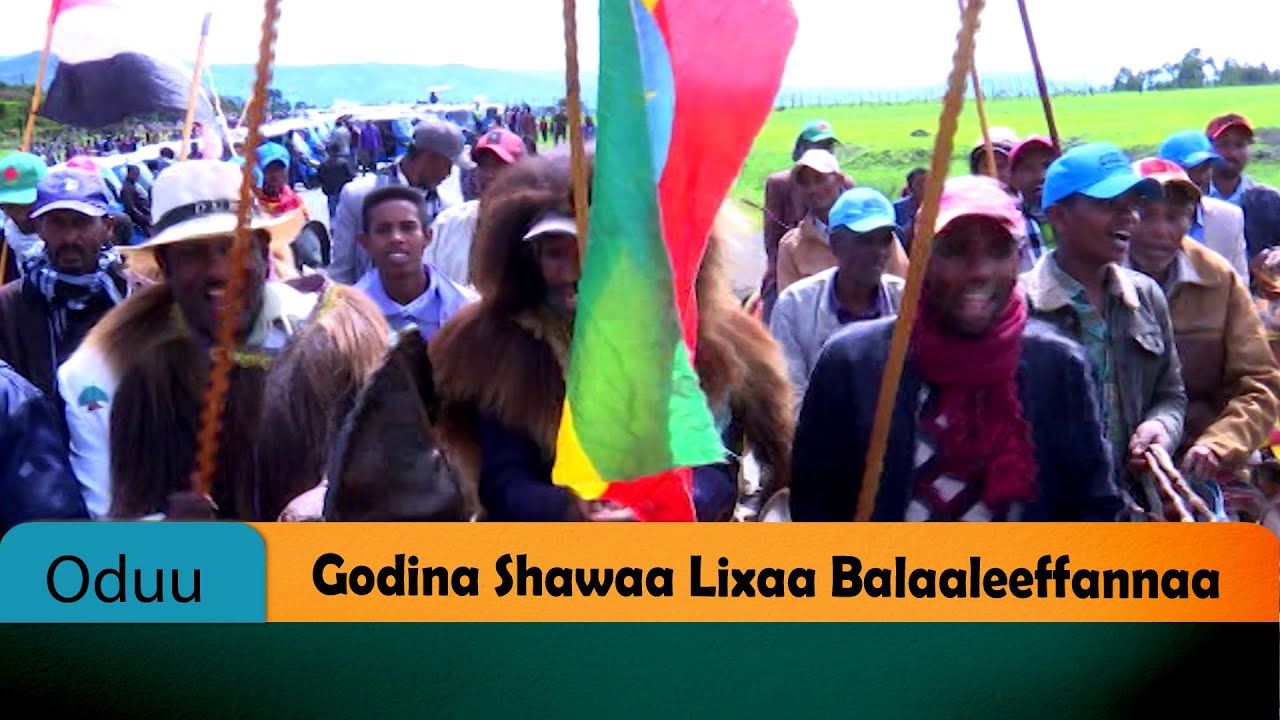 Godina Shawaa Lixaa Balaaleeffannaa - YouTube