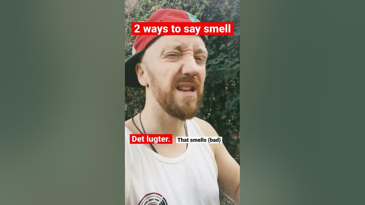 How To Say In danish 2 3 Ways To Say SMELL In The danishlanguage how-to-say-in-danish-2-3-ways-to-say-smell-in-the-danishlanguage