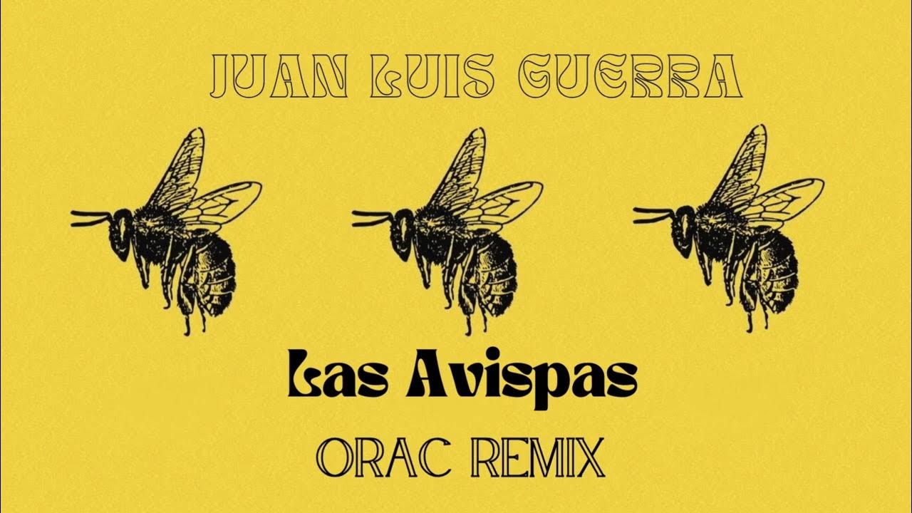 Juan Luis Guerra - Las Avispas (ORAC Remix) - YouTube