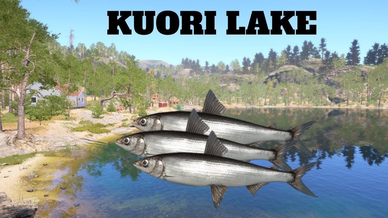Russian Fishing 4 RF4 -KUORI LAKE- Vendace active spot 3 trophies in 1 ...