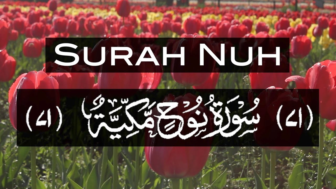 Surah Nuh Noah Full Beautiful Recitation Of Surah Nuh With Arabic Text