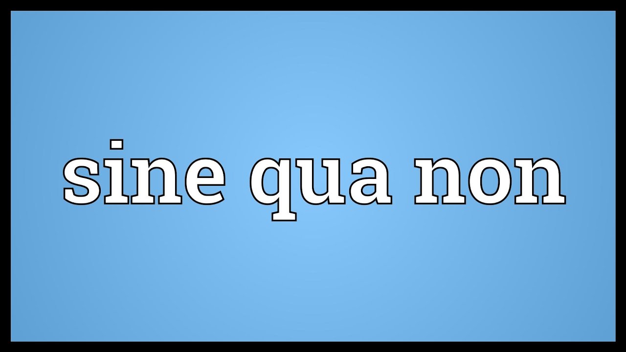Sine Qua Non Meaning YouTube
