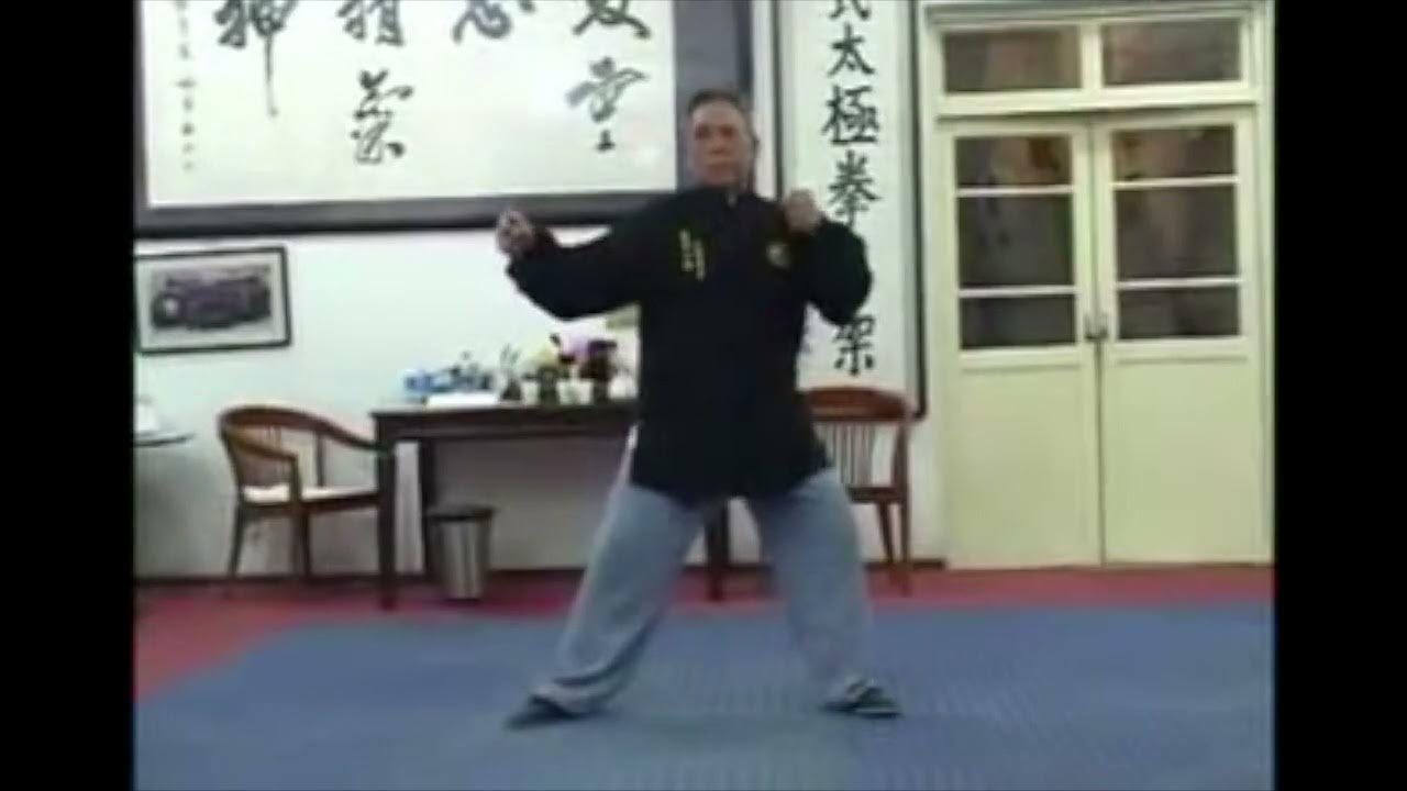 冯志强陈式心意混元太极演练 Chen Style Xinyi Hunyuan Tai Chi--GM Feng Zhiqiang - YouTube