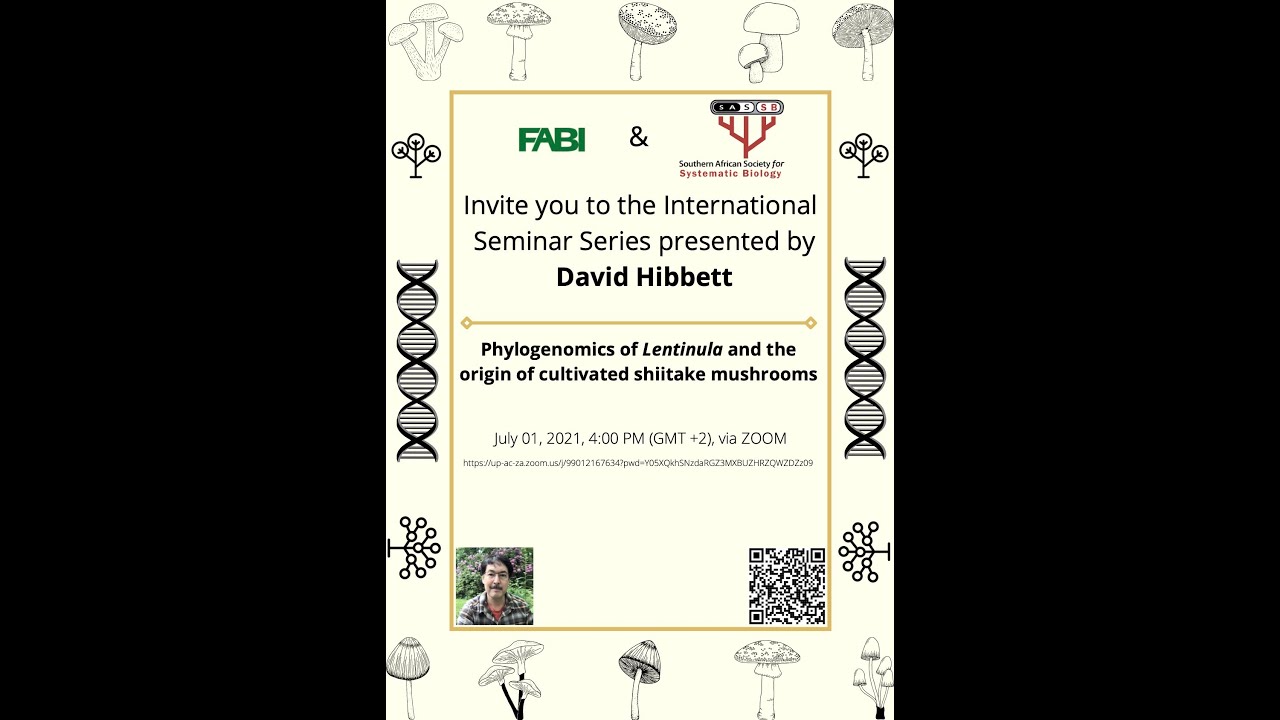 FABI International Seminar | Prof David Hibbett - YouTube