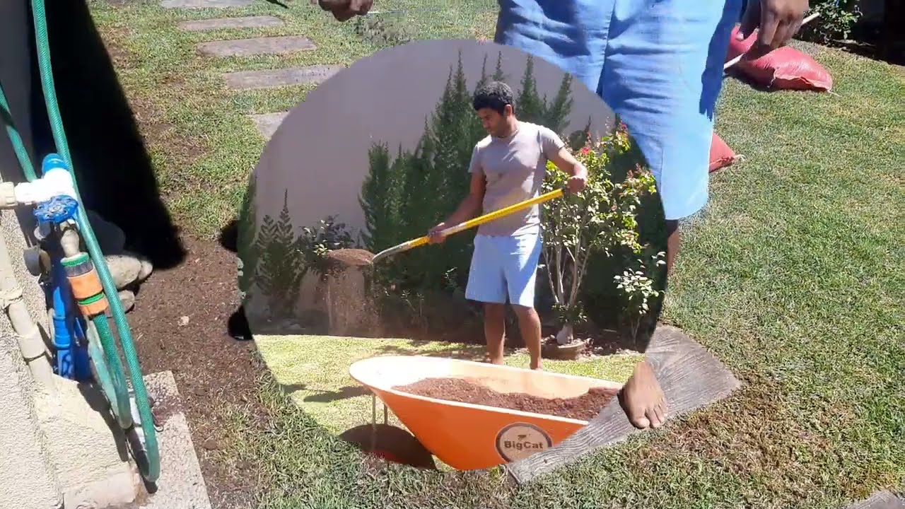 Fall Overseeding with Barenbrug RTF (Rhizomatous Fall Fescue) - YouTube