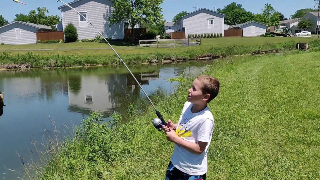 Fishy Tale, Catfish - YouTube