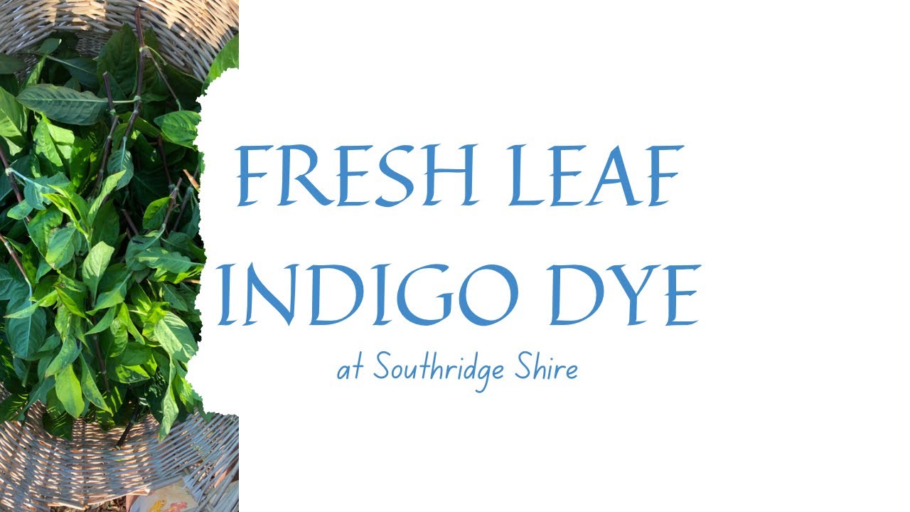 Fresh Leaf Indigo Dyeing - YouTube