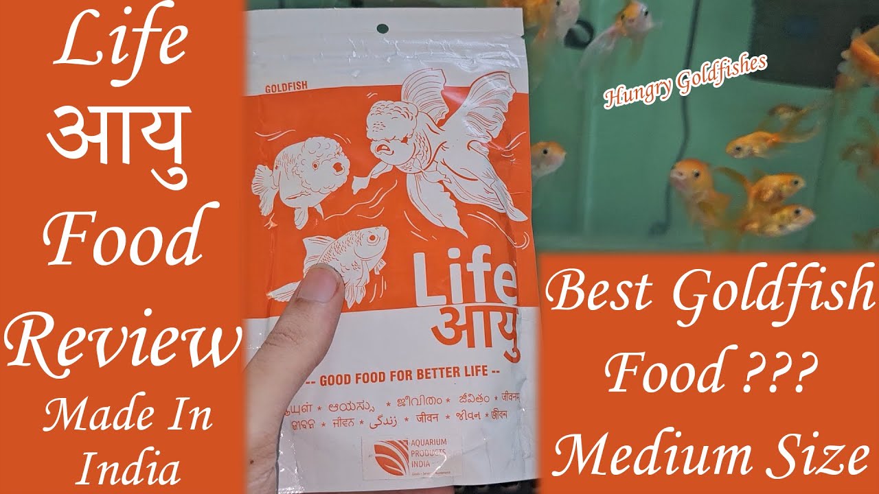 Life Aayu Goldfish Medium Food Review|Best Food For Young Goldfish|Made ...