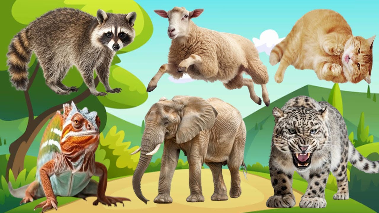 Love The Life Of Cute Animals Around Us: Lynx, Moose, Fox, Chicken ...