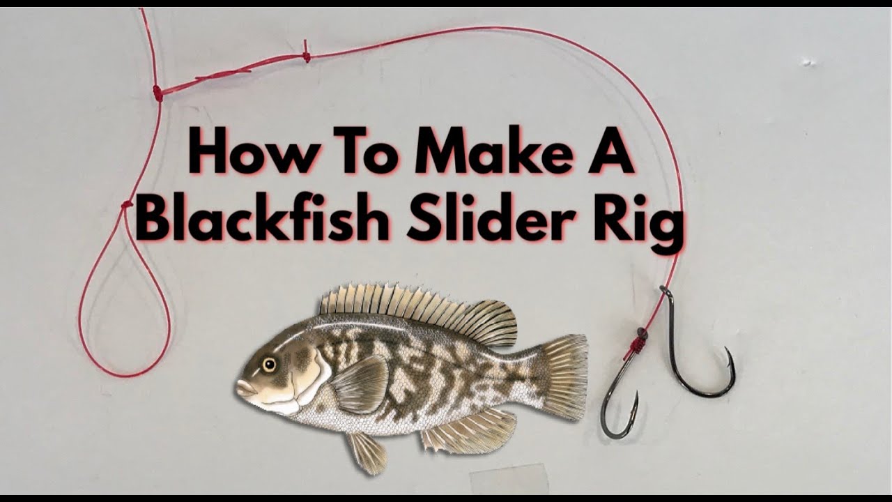 How To Make a Blackfish Slider Rig - Perfection Loop & Snell a Hook the ...
