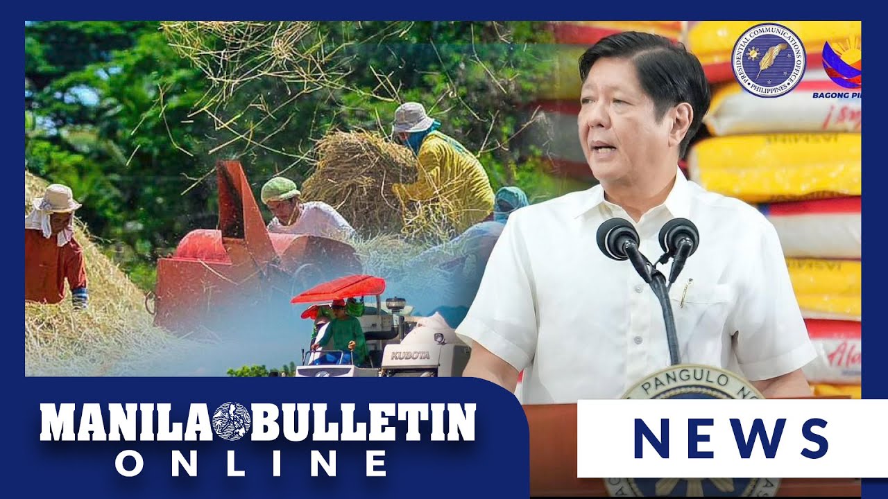 PH rice output hits new record high in 2023 — PBBM - YouTube