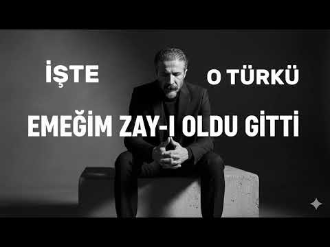 Emeğim Zay-ı Oldu Gitti 
