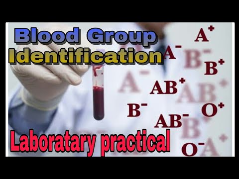 How to Analysis/test own blood group at home?? | Blood Group ...